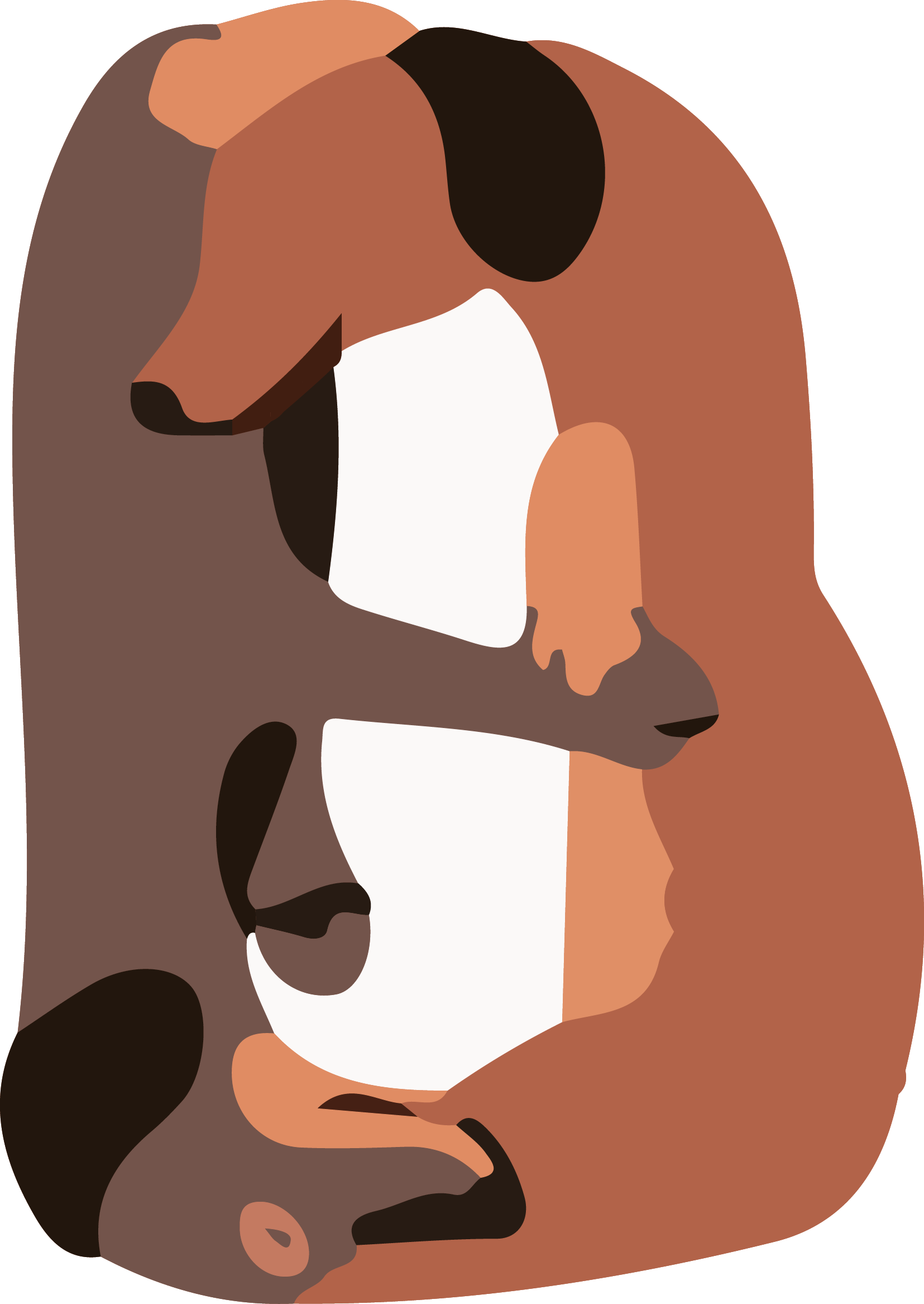 Refranes, citas y frases sobre perros - Boncan - Educación Canina Barcelona