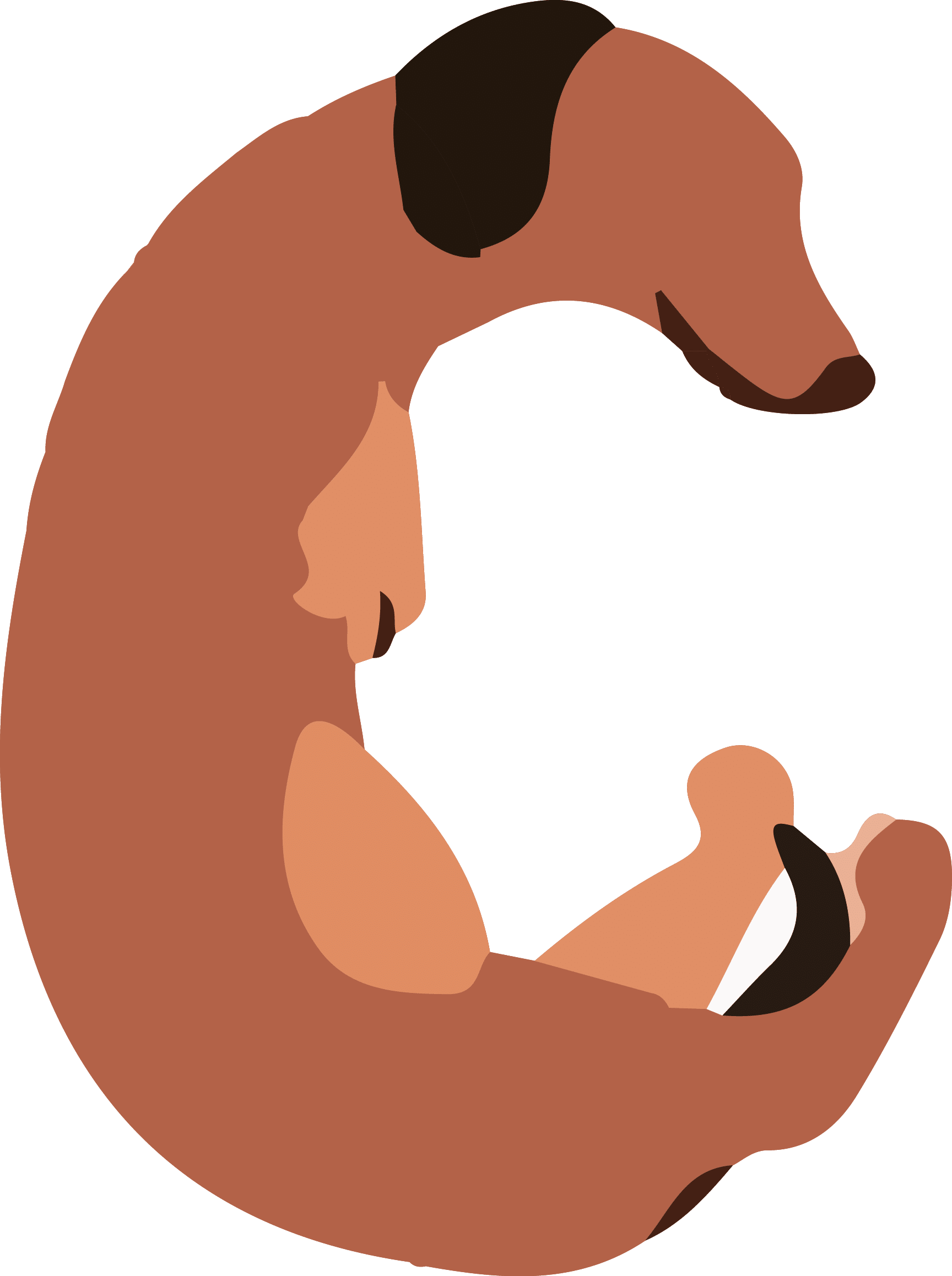 Refranes, citas y frases sobre perros - Boncan - Educación Canina Barcelona