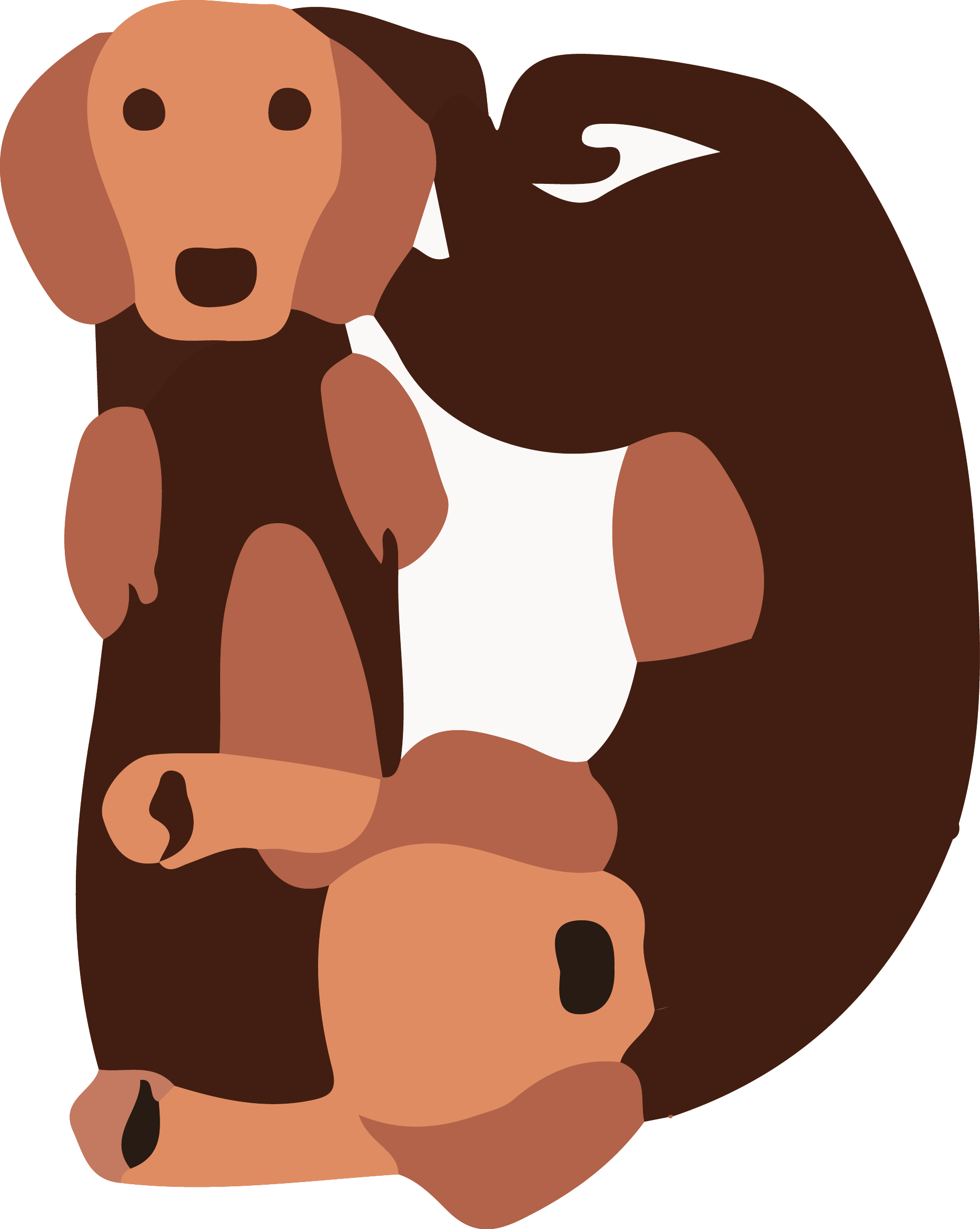 Refranes, citas y frases sobre perros - Boncan - Educación Canina Barcelona