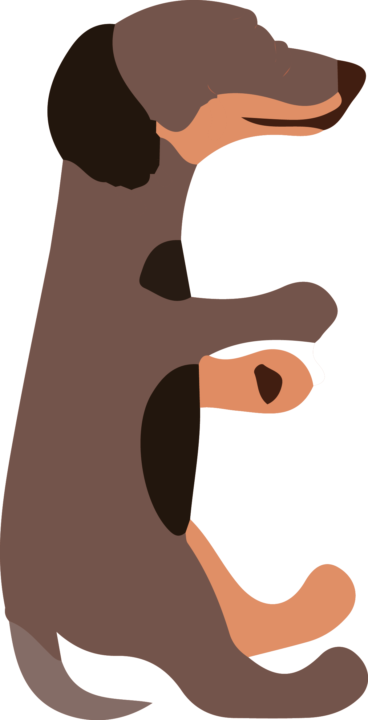 Refranes, citas y frases sobre perros - Boncan - Educación Canina Barcelona