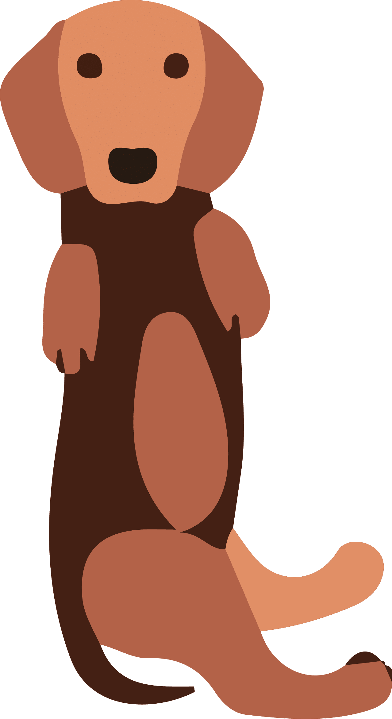 Razas de perros - Boncan - Educación Canina en Barcelona