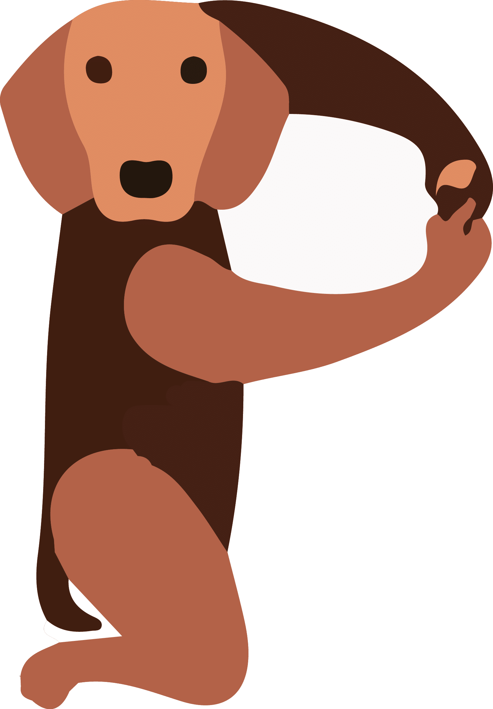 Razas de perros - Boncan - Educación Canina en Barcelona