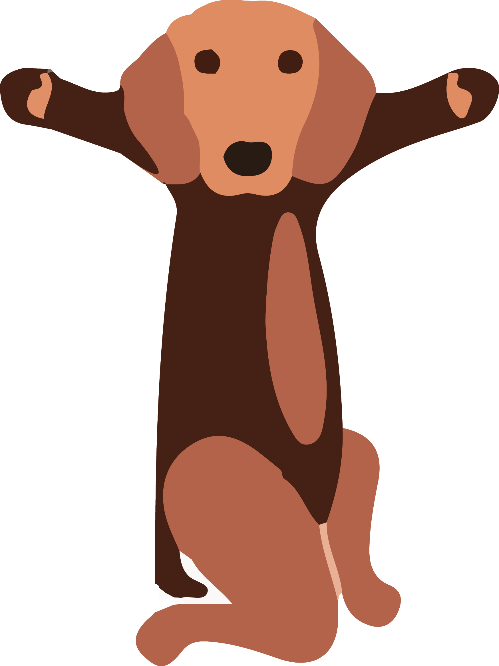 Refranes, citas y frases sobre perros - Boncan - Educación Canina Barcelona